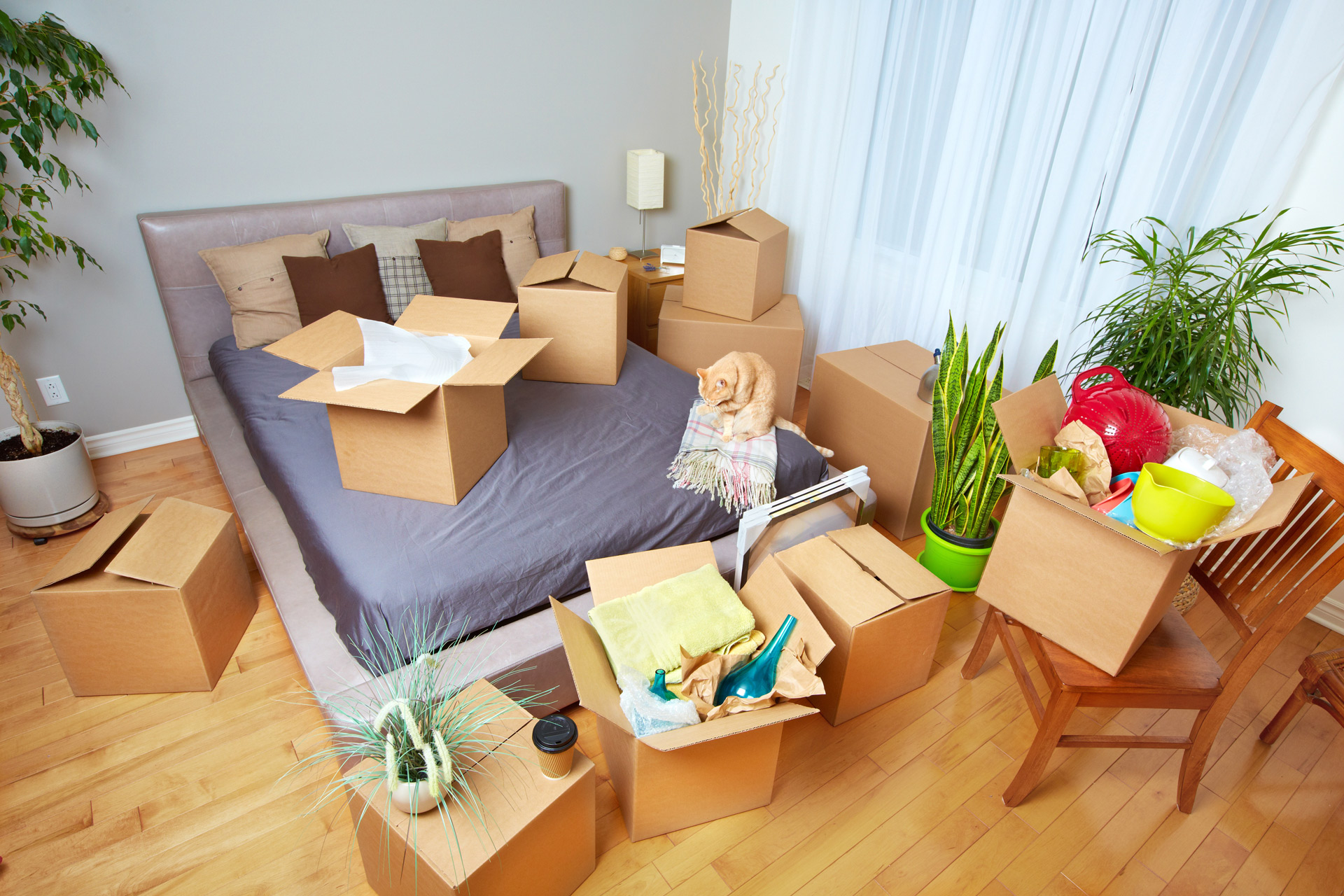 Make Room For Guests with Self Storage - Silverado Self Storage